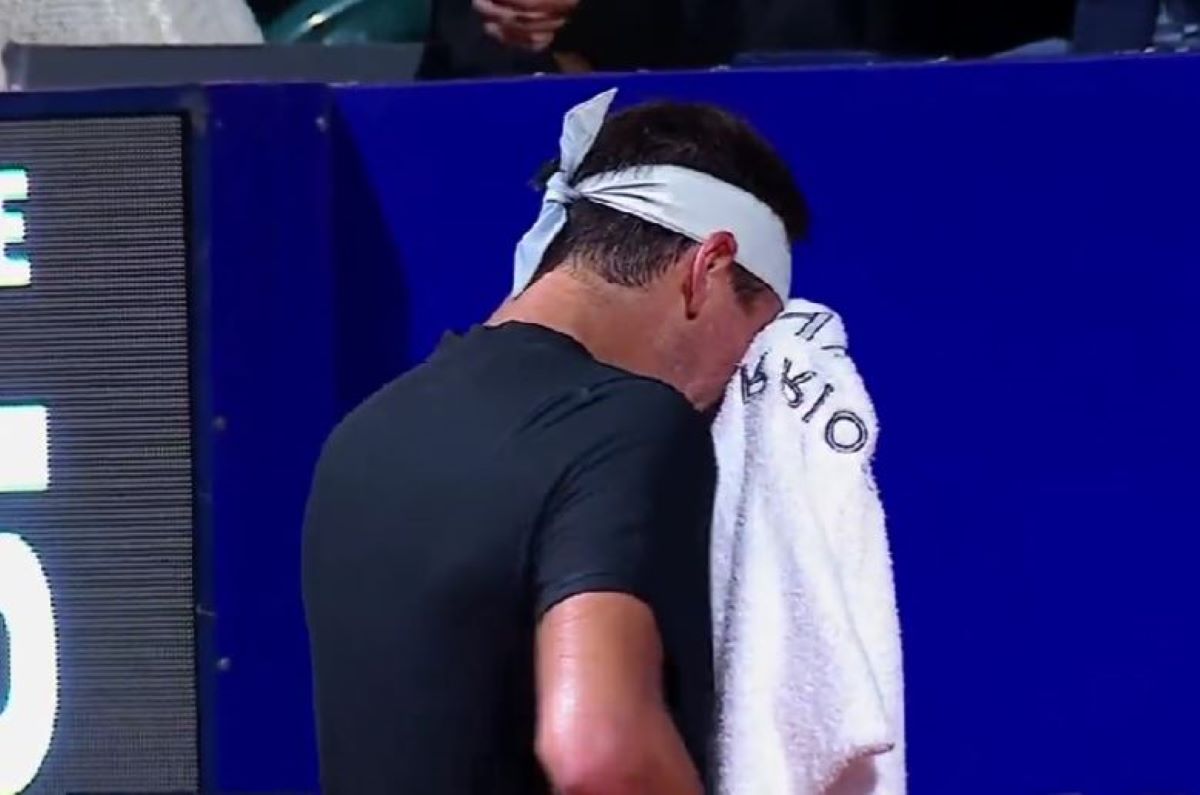 Del Potro serve per l'ultima volta e scoppia a piangere: le lacrime di ...